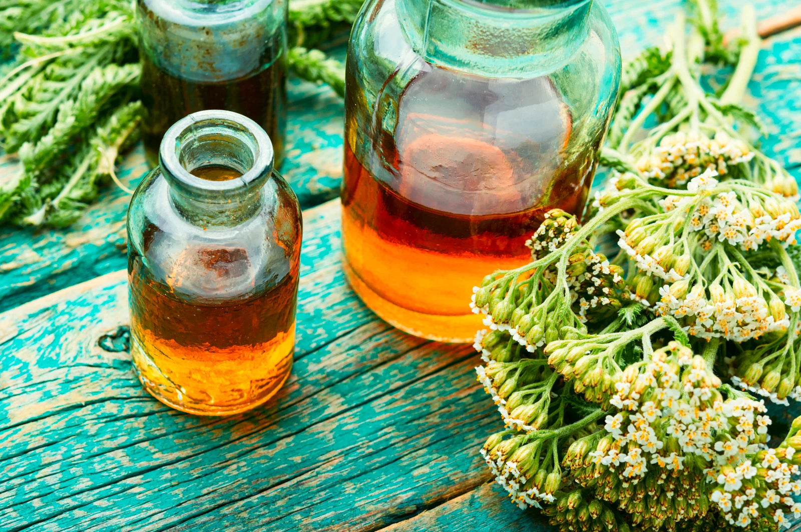 Let's Talk Yarrow: The Natural Elixir and Remarkable Health Benefits ...